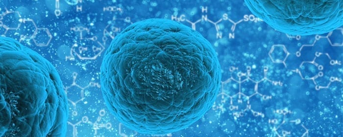 Researchers Identify How Mesenchymal Stem Cells Achieve Their